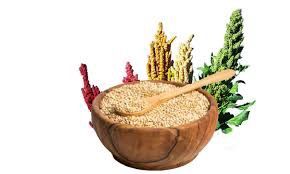 ¡Descubre los increíbles beneficios de la quinua para tu salud! - Eco Amazónico