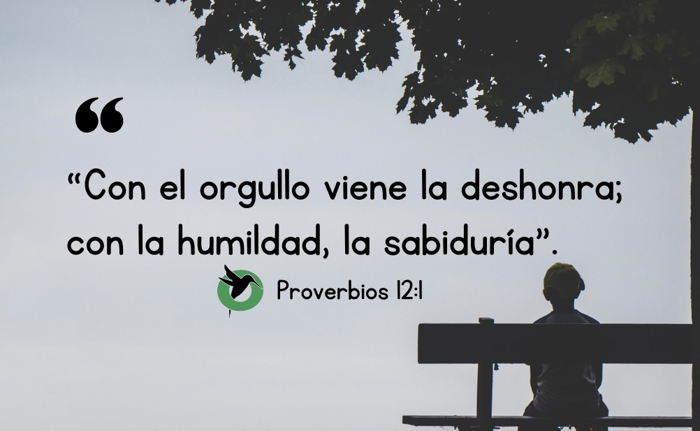 La humildad, el camino hacia la sabiduría y el respeto» - Eco Amazónico