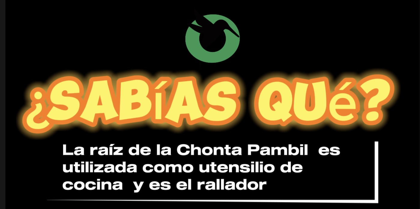 Importancia y Usos de la Raíz de la Chonta Pambil en Pastaza, Ecuador ...