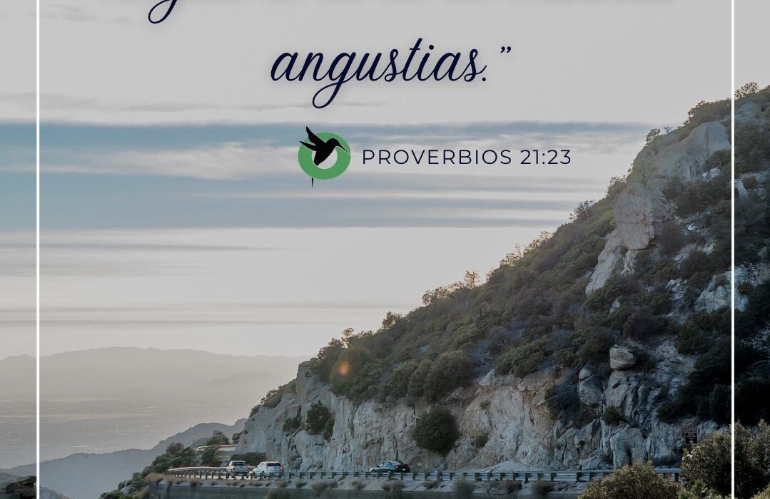 “Refrenar la boca y la lengua para evitar angustias innecesarias» - Eco ...